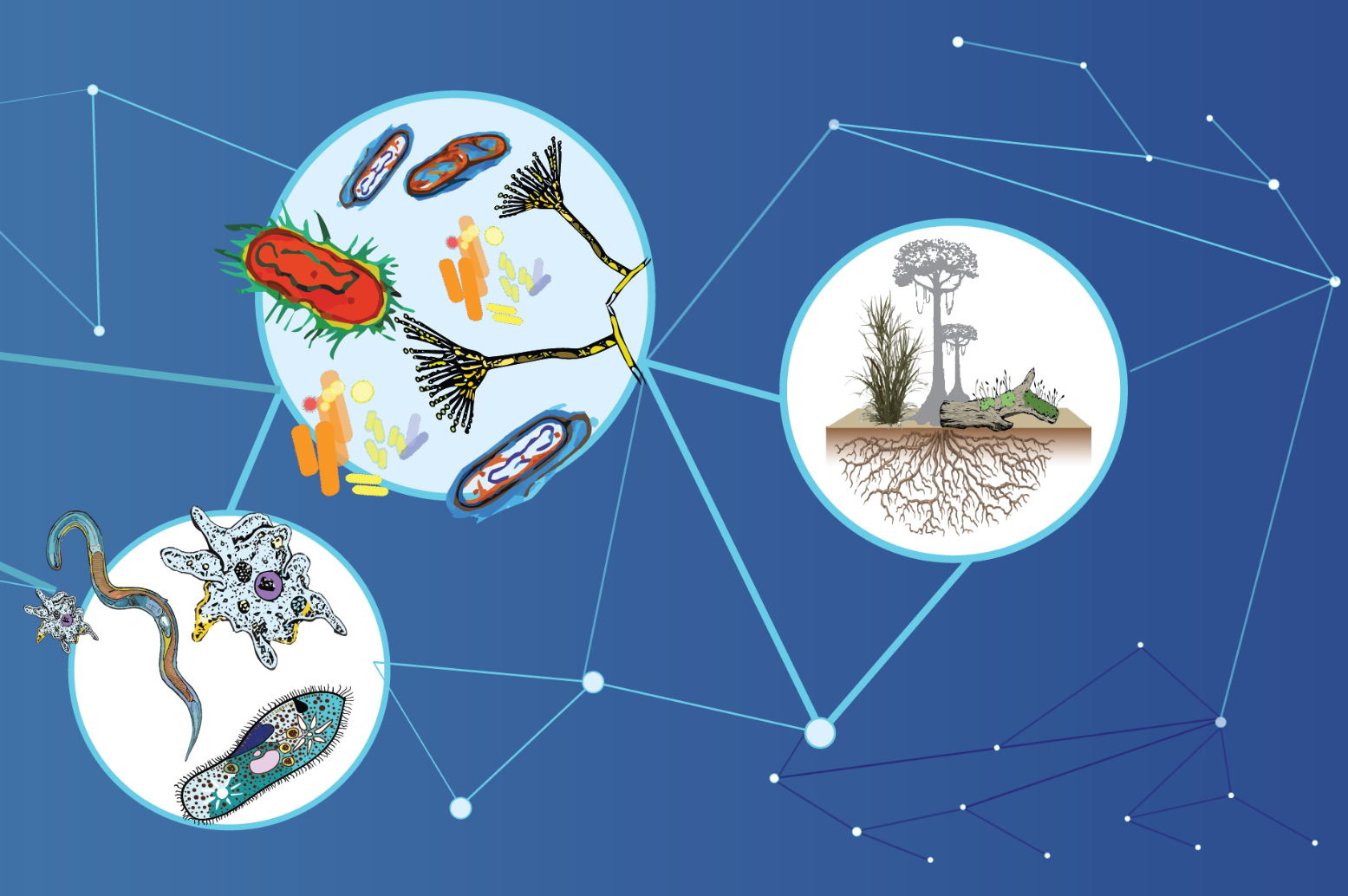 Navarro Lab | Laboratory of microbial trophic interactions and host ...